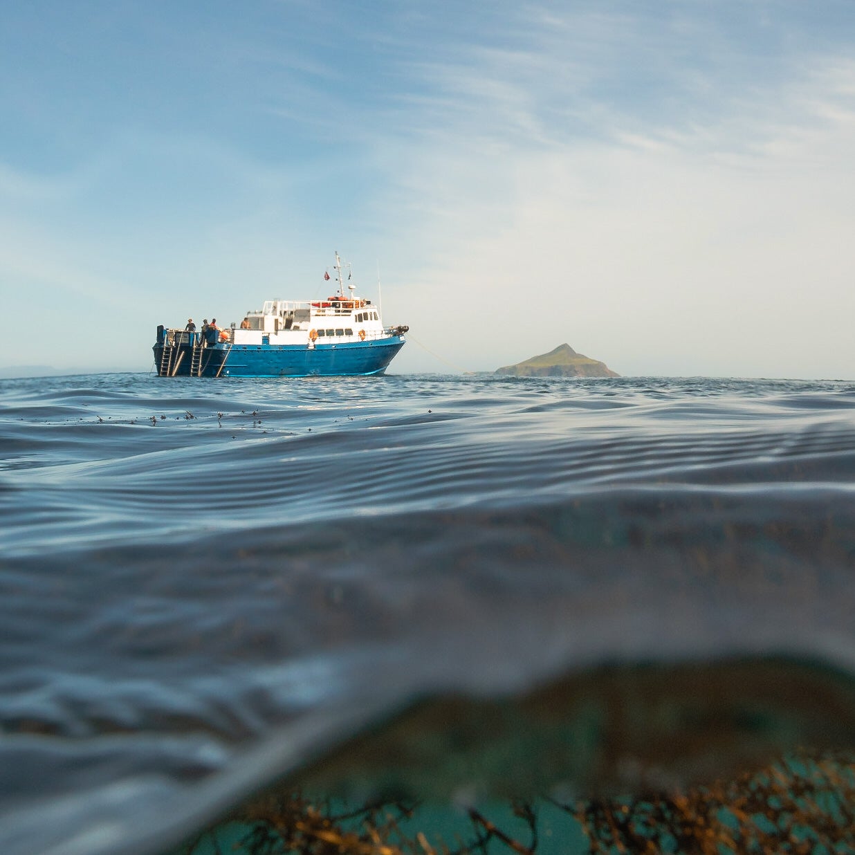 Spectre Dive Boat Day - 06/22 | zen dive co