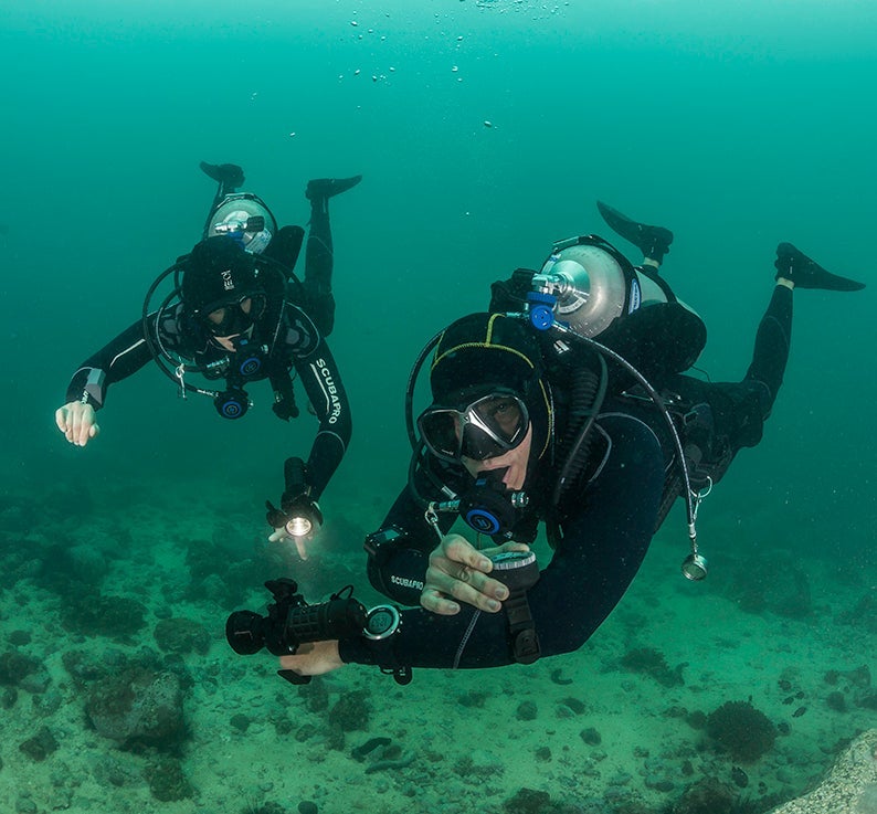 Recreational Diver Level 2 | zen dive co